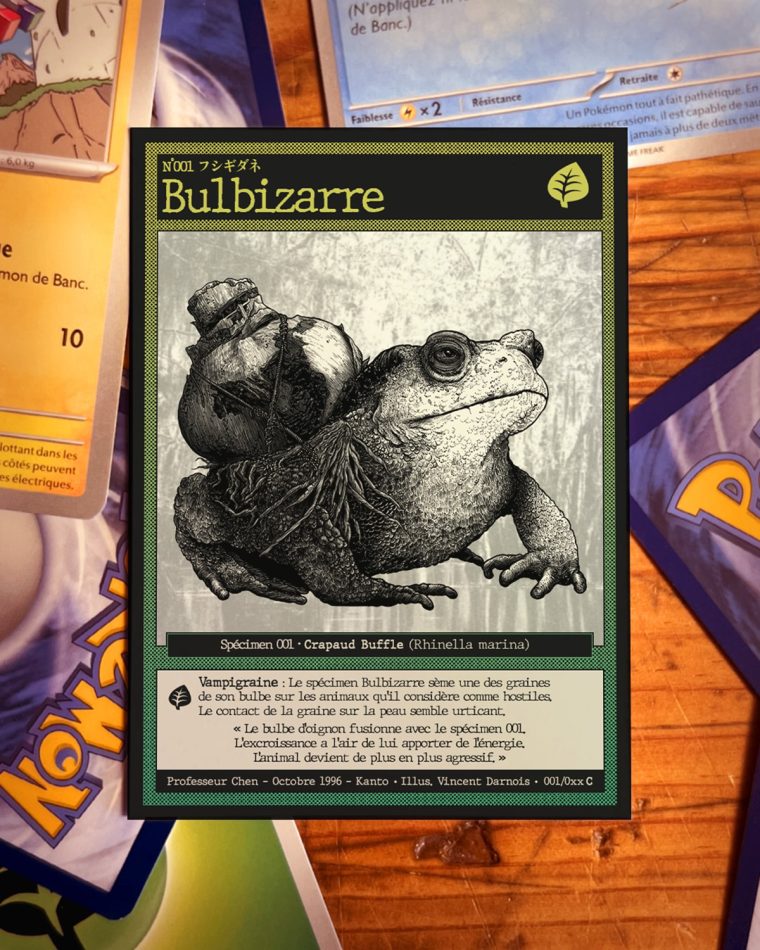 Le créatif Vincent Darnois transforme les Pokémon en animaux réalistes