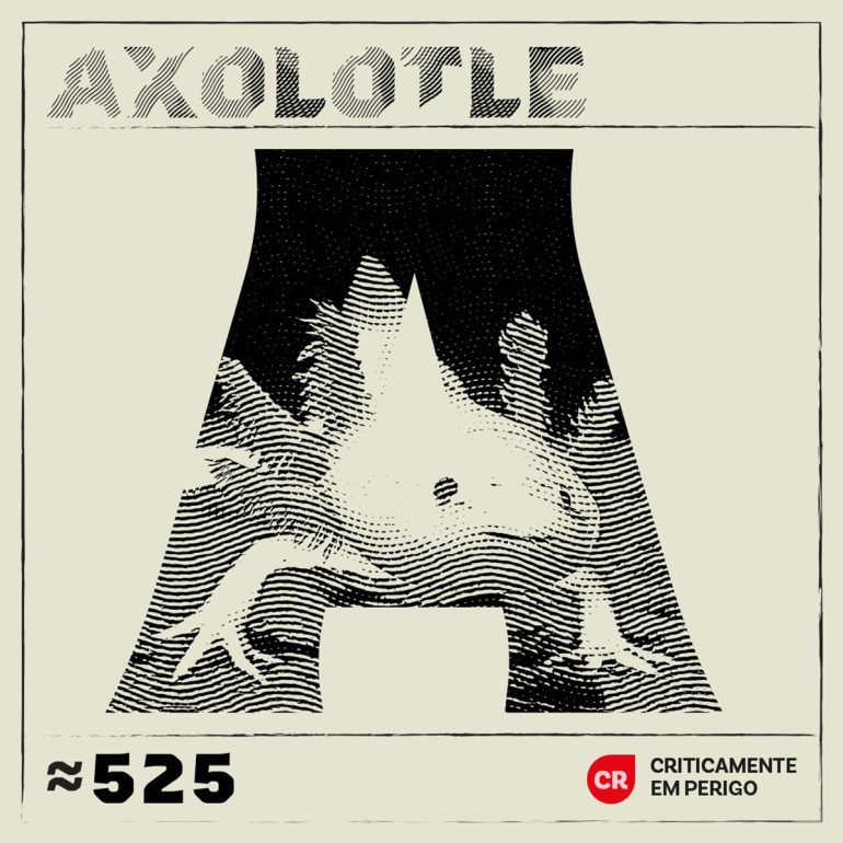 Le WWF crée une typo qui s'efface en fonction de l’extinction des espèces