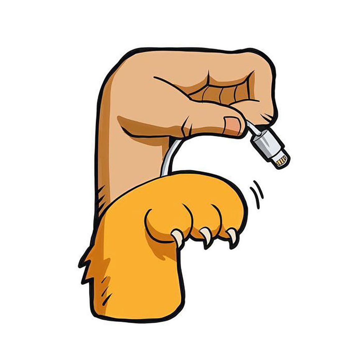 Catphabet : ce créatif crée un alphabet en s'inspirant de ses deux chats