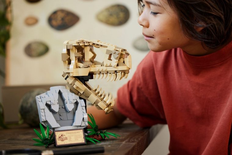 LEGO commercialise une réplique de crâne de T-Rex en clin d’œil à ...