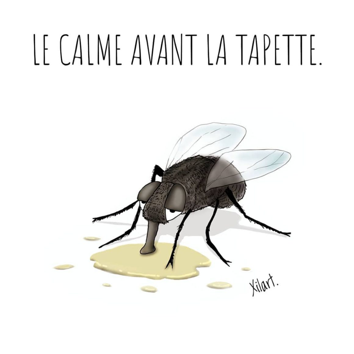 Les jeux de mots amusants et créatifs de l'illustrateur Xilart (25 ...