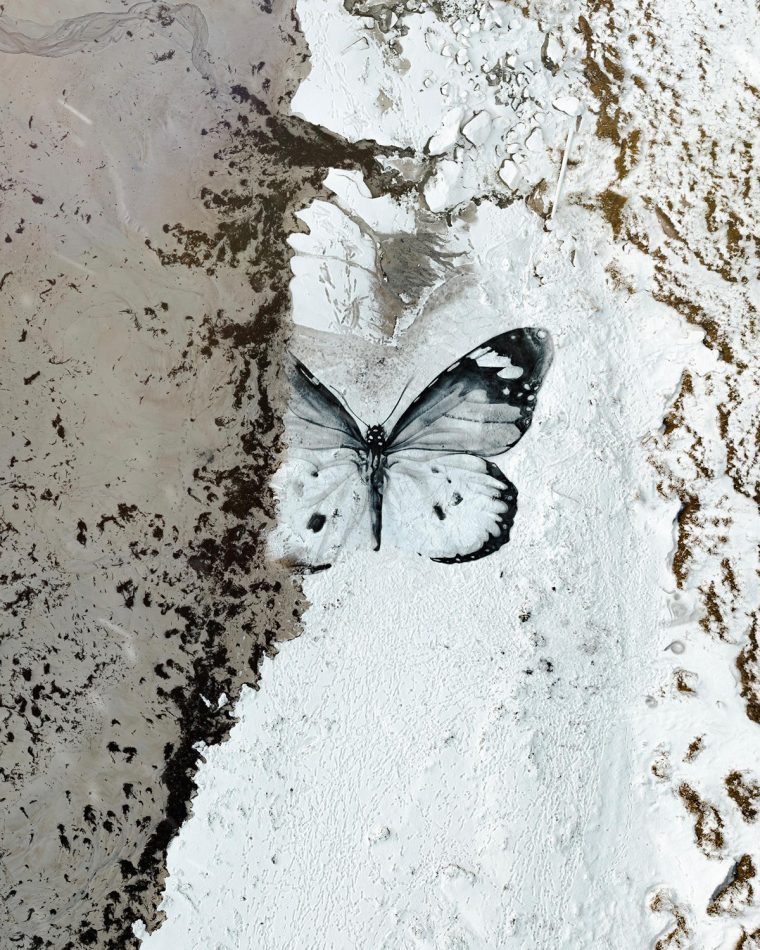Les immenses portraits éphémères en pleine nature de l'artiste David Popa