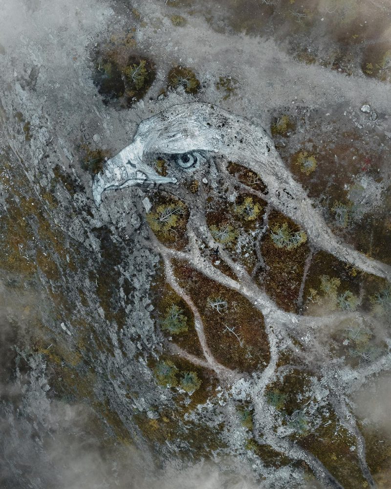 Les immenses portraits éphémères en pleine nature de l'artiste David Popa