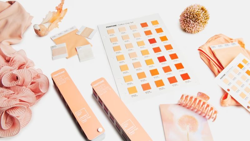 Pantone dévoile la couleur de l’année 2024 : un doux ton pêche baptisé ...