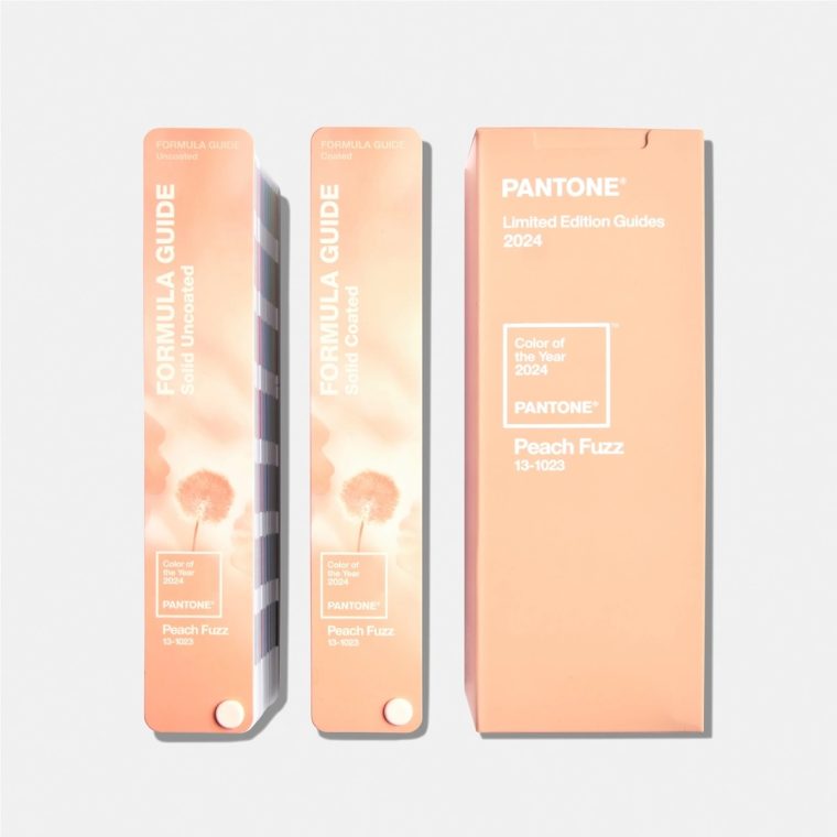 Pantone dévoile la couleur de l’année 2024 : un doux ton pêche baptisé ...