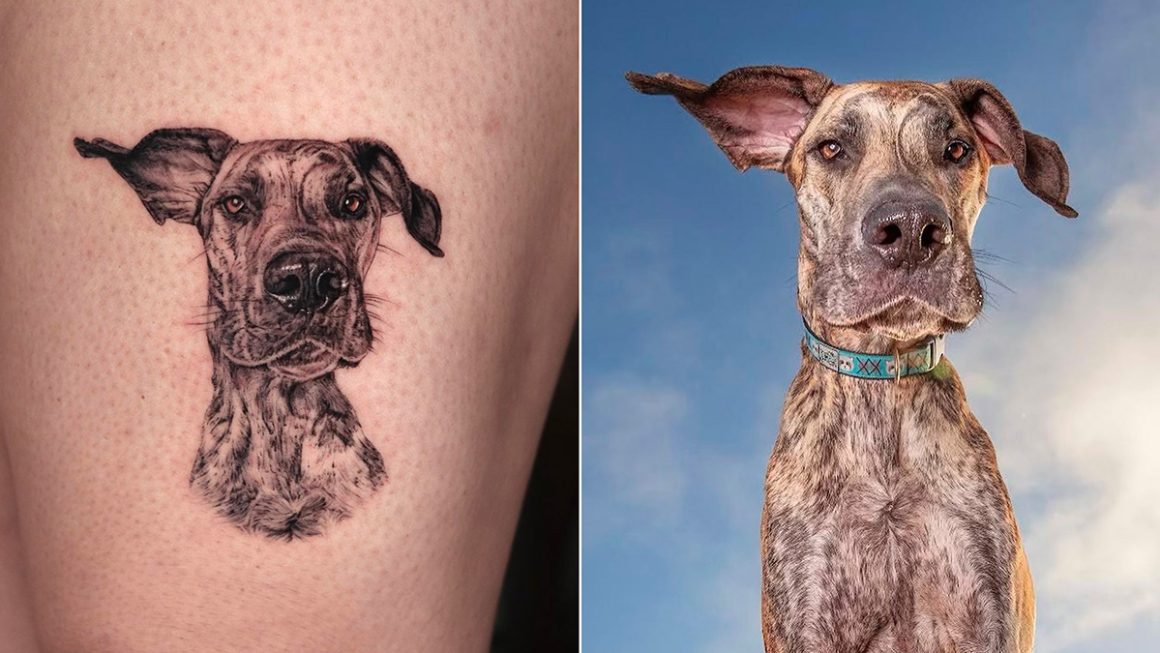 Yeono, la tatoueuse spécialisée dans les portraits de vos animaux de ...