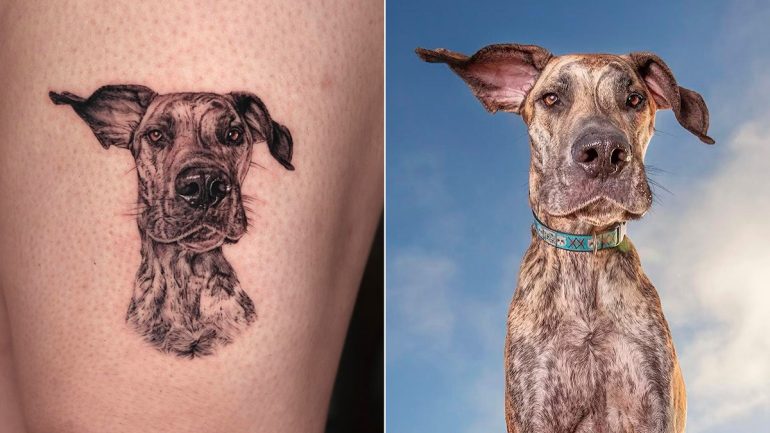 Yeono, la tatoueuse spécialisée dans les portraits de vos animaux de ...