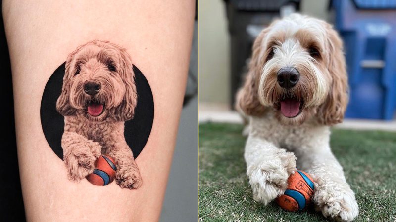 Yeono, la tatoueuse spécialisée dans les portraits de vos animaux de ...