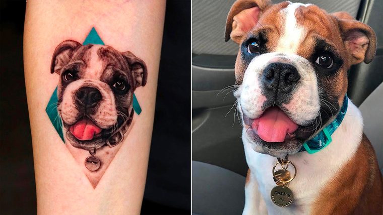 Yeono, la tatoueuse spécialisée dans les portraits de vos animaux de ...