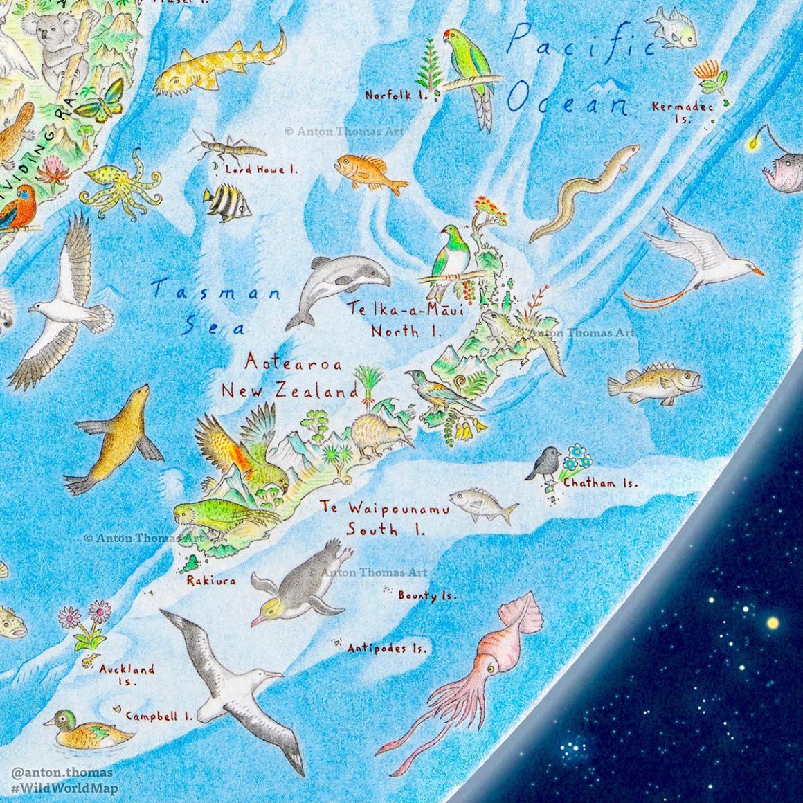 Ce cartographe reproduit 1642 espèces animales à la main sur une carte ...