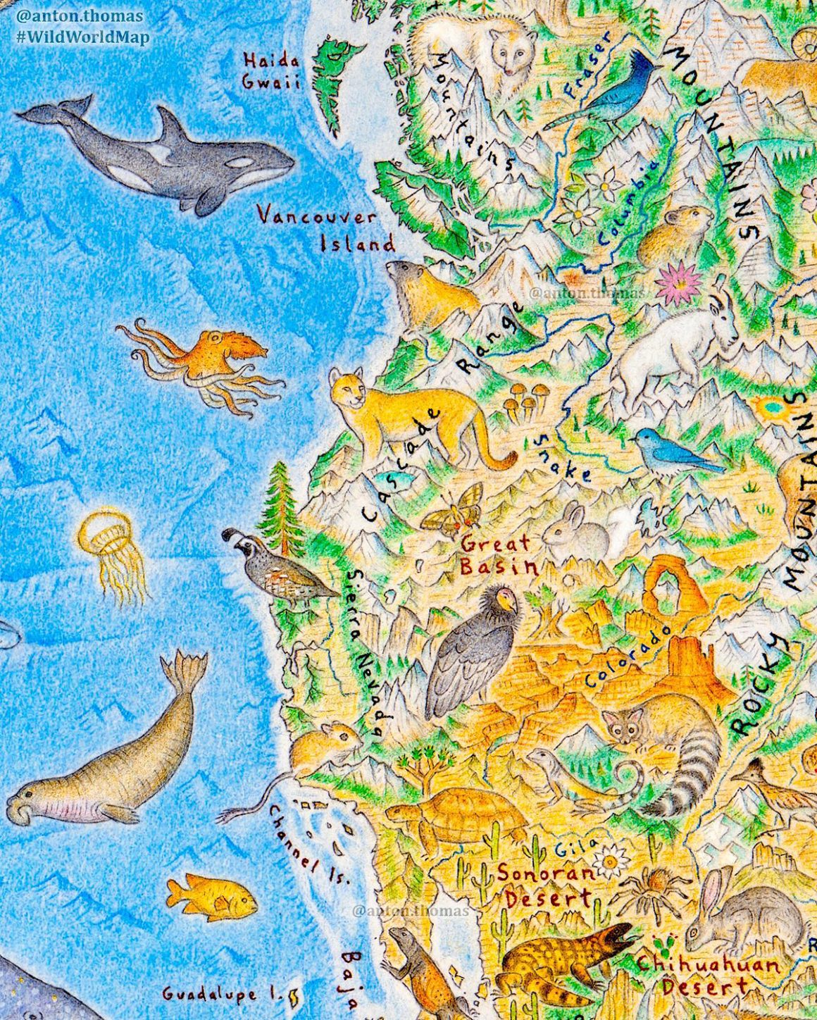 Ce cartographe reproduit 1642 espèces animales à la main sur une carte ...