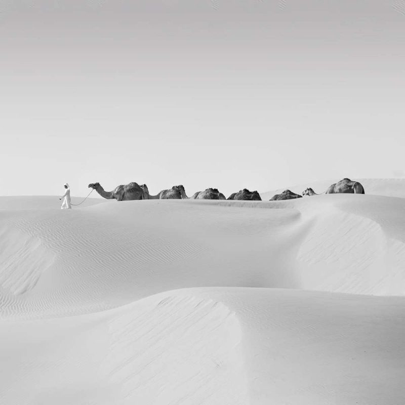 Les 15 clichés lauréats du Black and White Minimalist Photo Awards 2024 ...