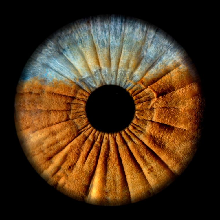 Le photographe Mitchell Zeer immortalise l’iris humain comme des ...