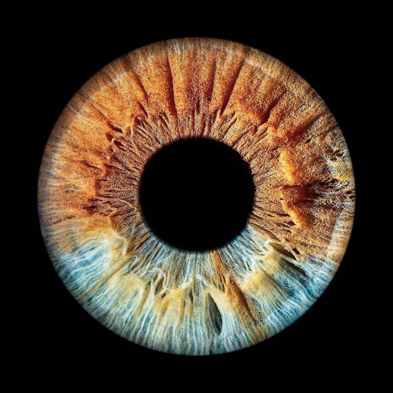 Le photographe Mitchell Zeer immortalise l’iris humain comme des ...
