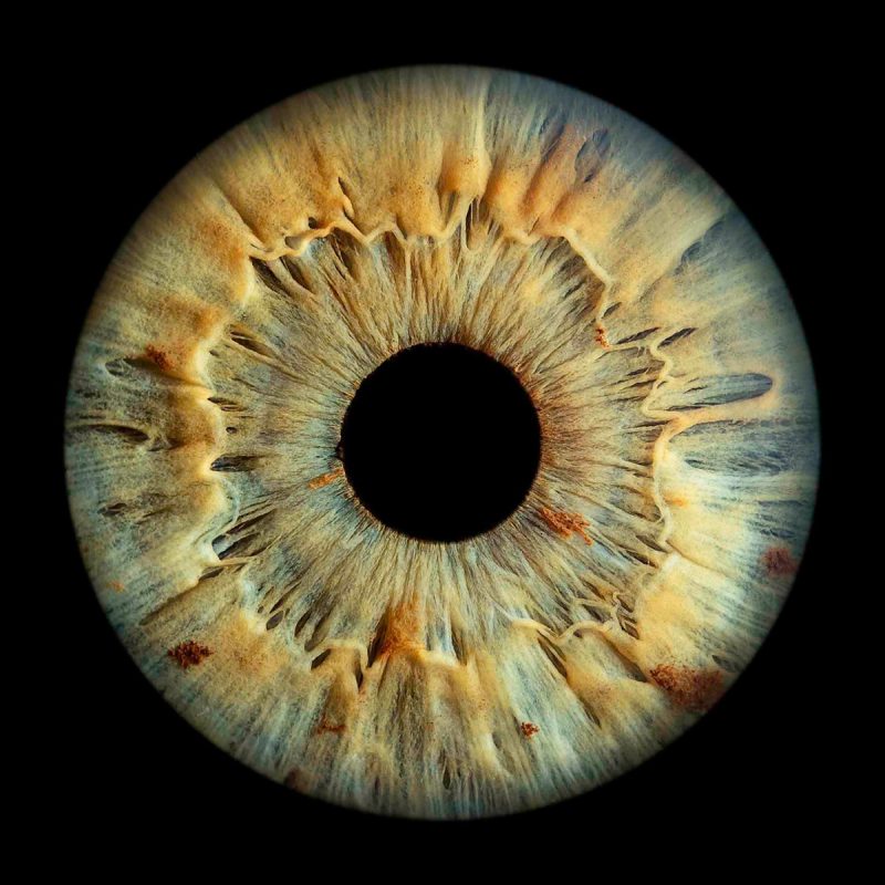 Le photographe Mitchell Zeer immortalise l’iris humain comme des ...