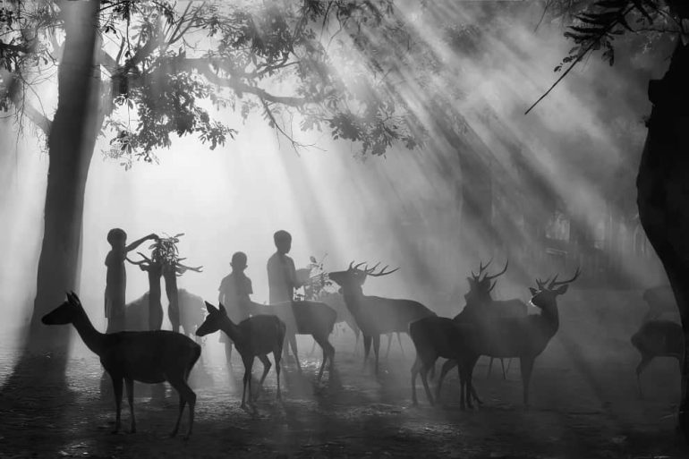 Les spectaculaires photos noir et blanc du 35 Photography Awards ...