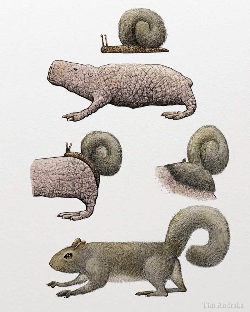 Les illustrations naturalistes absurdes et créatives de Tim Andraka