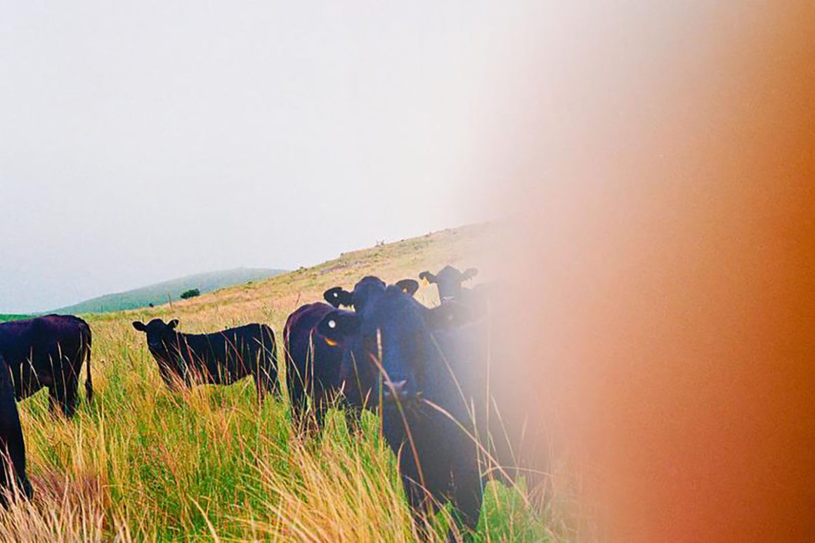 Un appareil photo avec un doigt devant pour imiter vos photos de ...