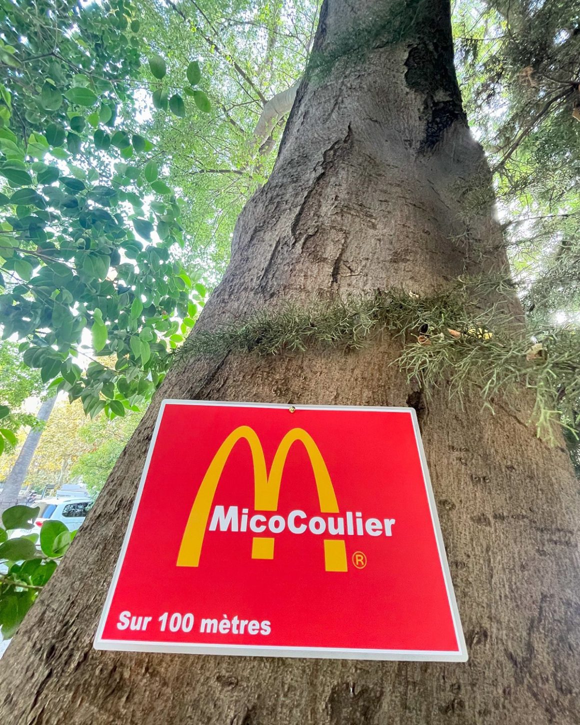 Des noms d’arbres détournés en marques pour inciter à mieux connaître ...