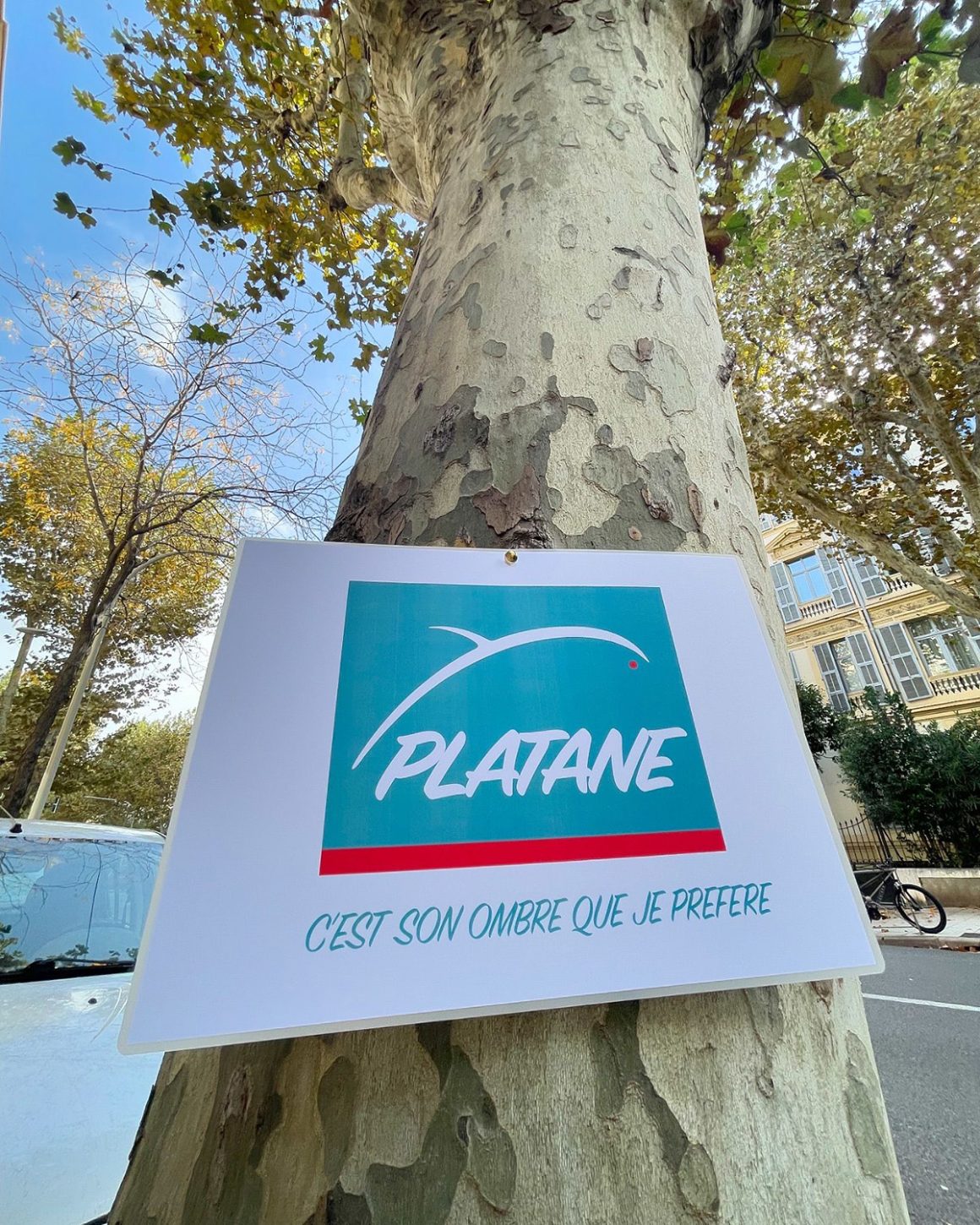 Des noms d’arbres détournés en marques pour inciter à mieux connaître ...