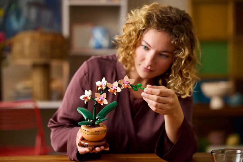 LEGO agrandit sa collection florale avec 4 nouvelles plantes à ...