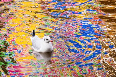 Les sublimes clichés lauréats du Nature Photographer Awards 2024 ...