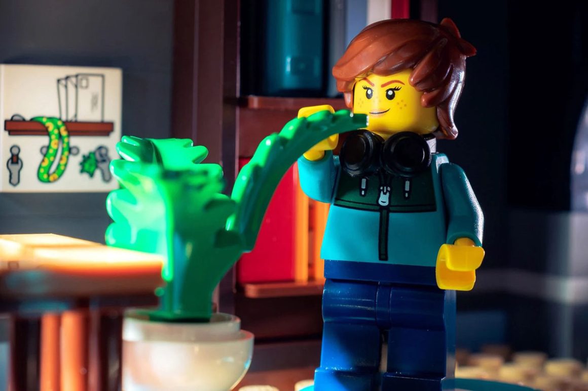 LEGO lance une collection de figurines pour sensibiliser aux handicaps ...