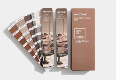 Pantone dévoile la couleur de l’année 2025 : une nuance chocolatée ...