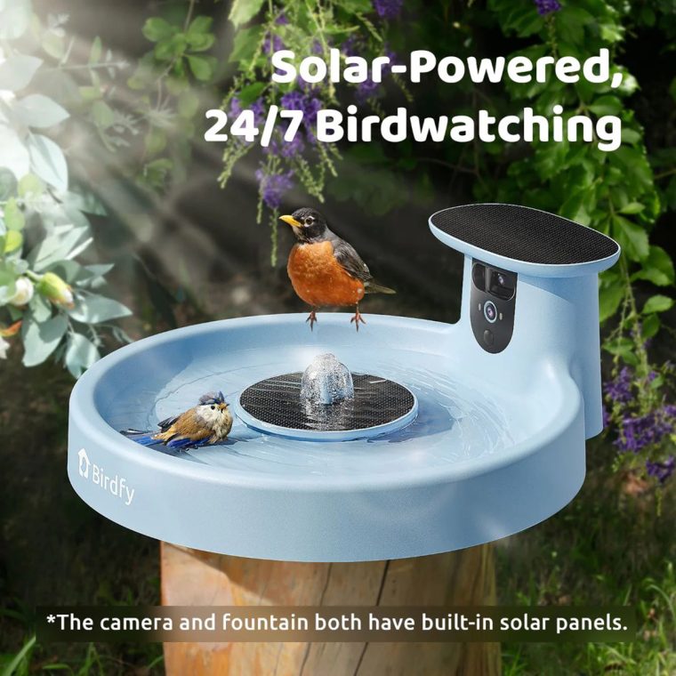 Cette fontaine connectée identifie et photographie les oiseaux qui s’y ...