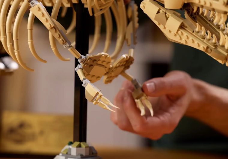 LEGO sort un squelette de T-Rex de 3145 briques qui mesure 1 mètre de long
