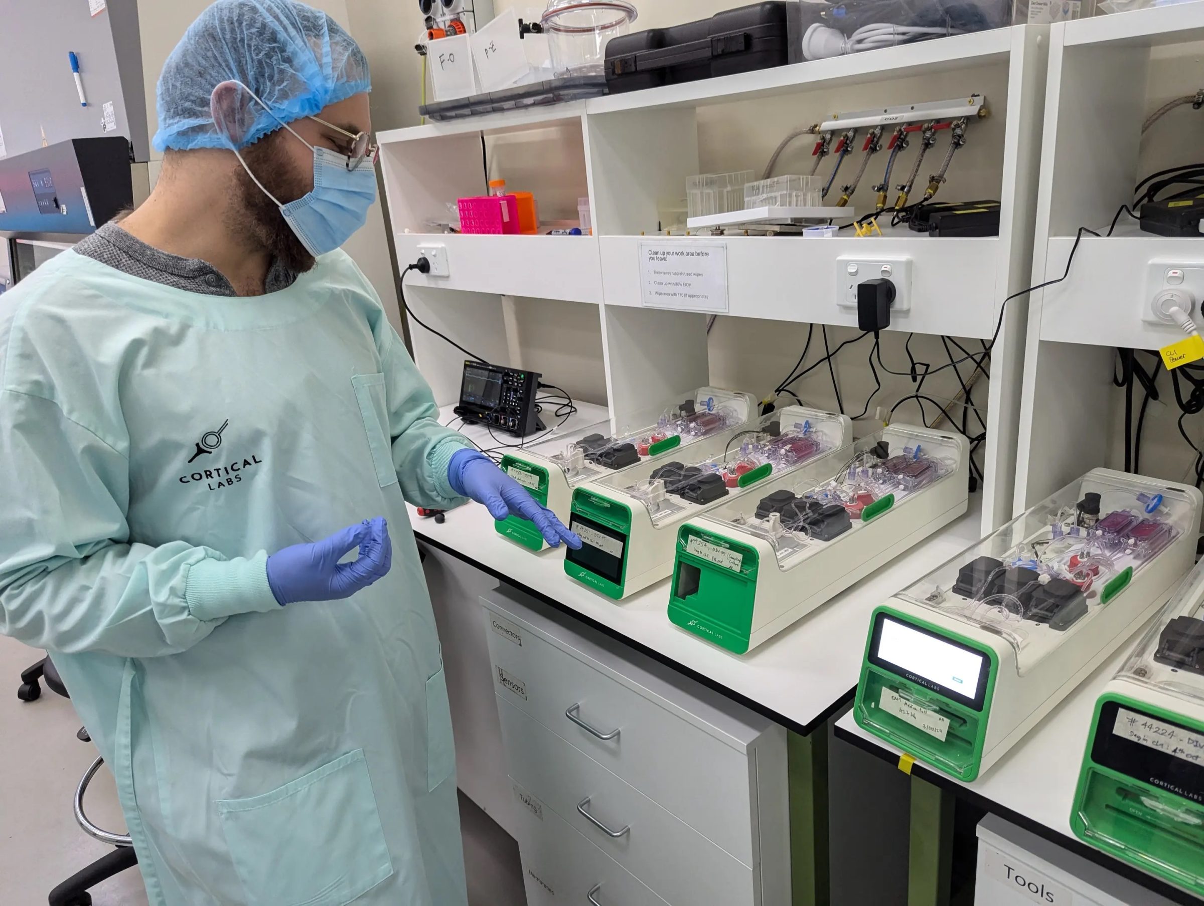 Voici le premier bio-ordinateur qui fonctionne avec de véritables ...