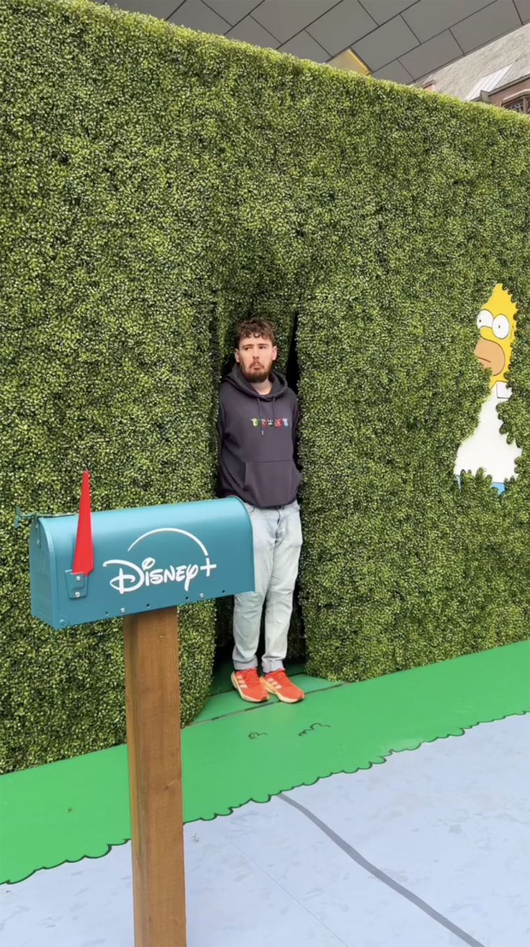 Disney+ transforme un mème culte des Simpson en attraction réelle ...