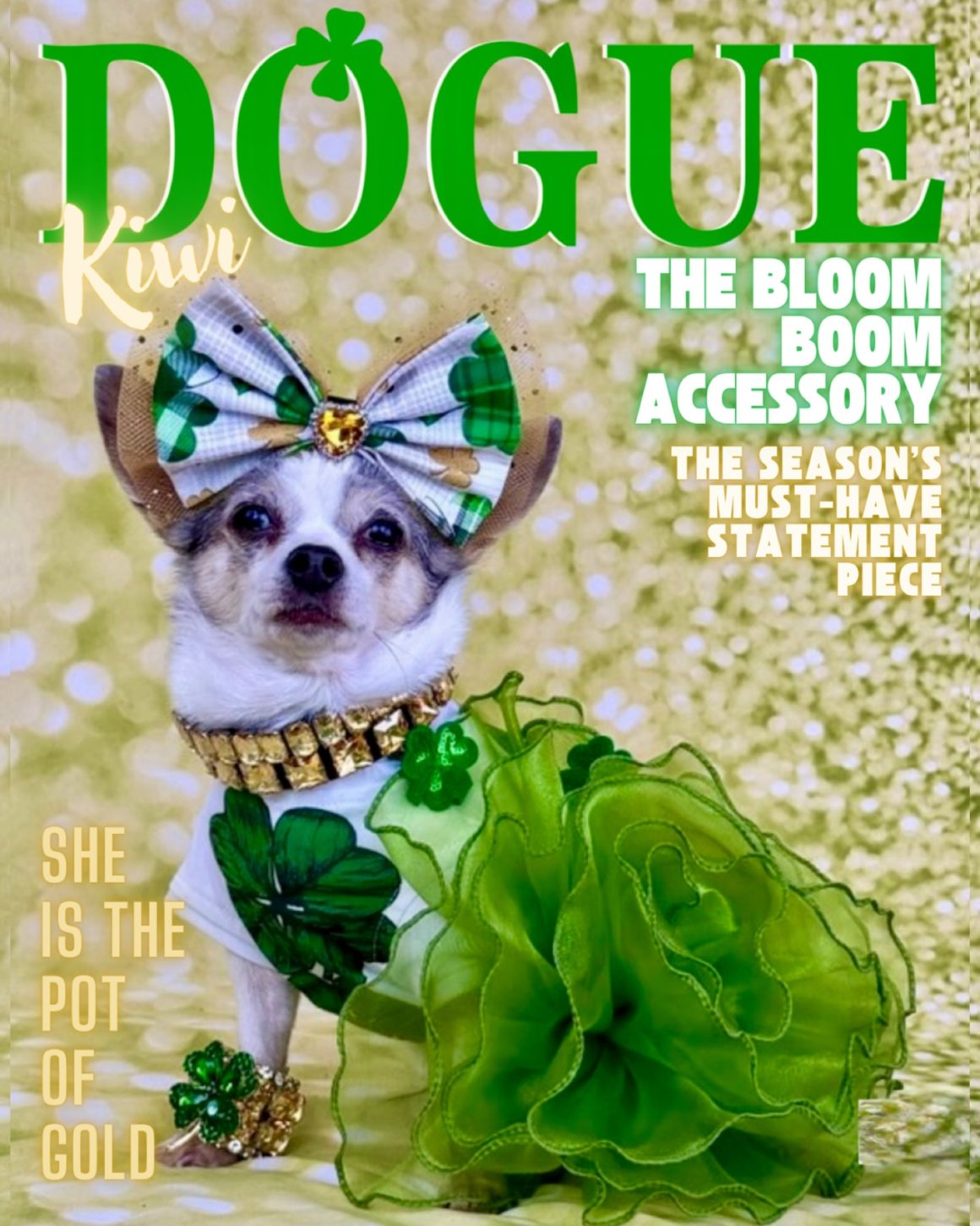 Sur Instagram, le compte Dogue parodie le magazine de mode Vogue ...