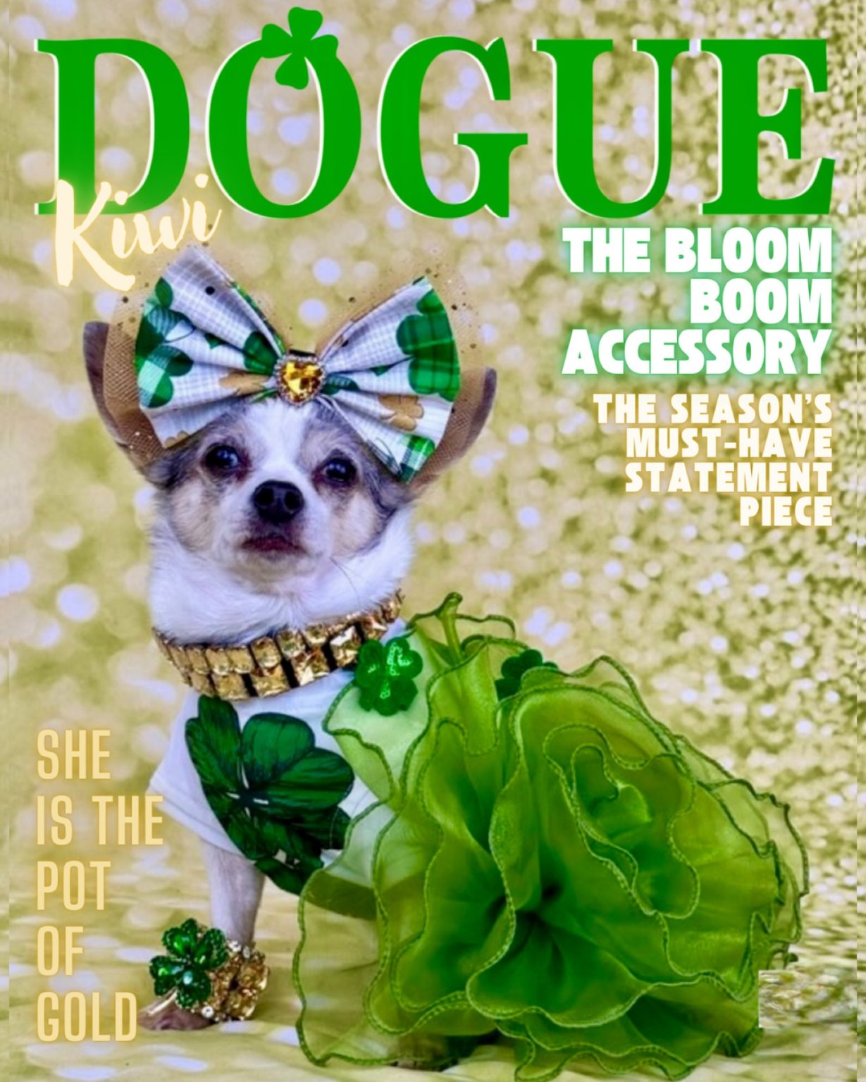 Sur Instagram, le compte Dogue parodie le magazine de mode Vogue ...