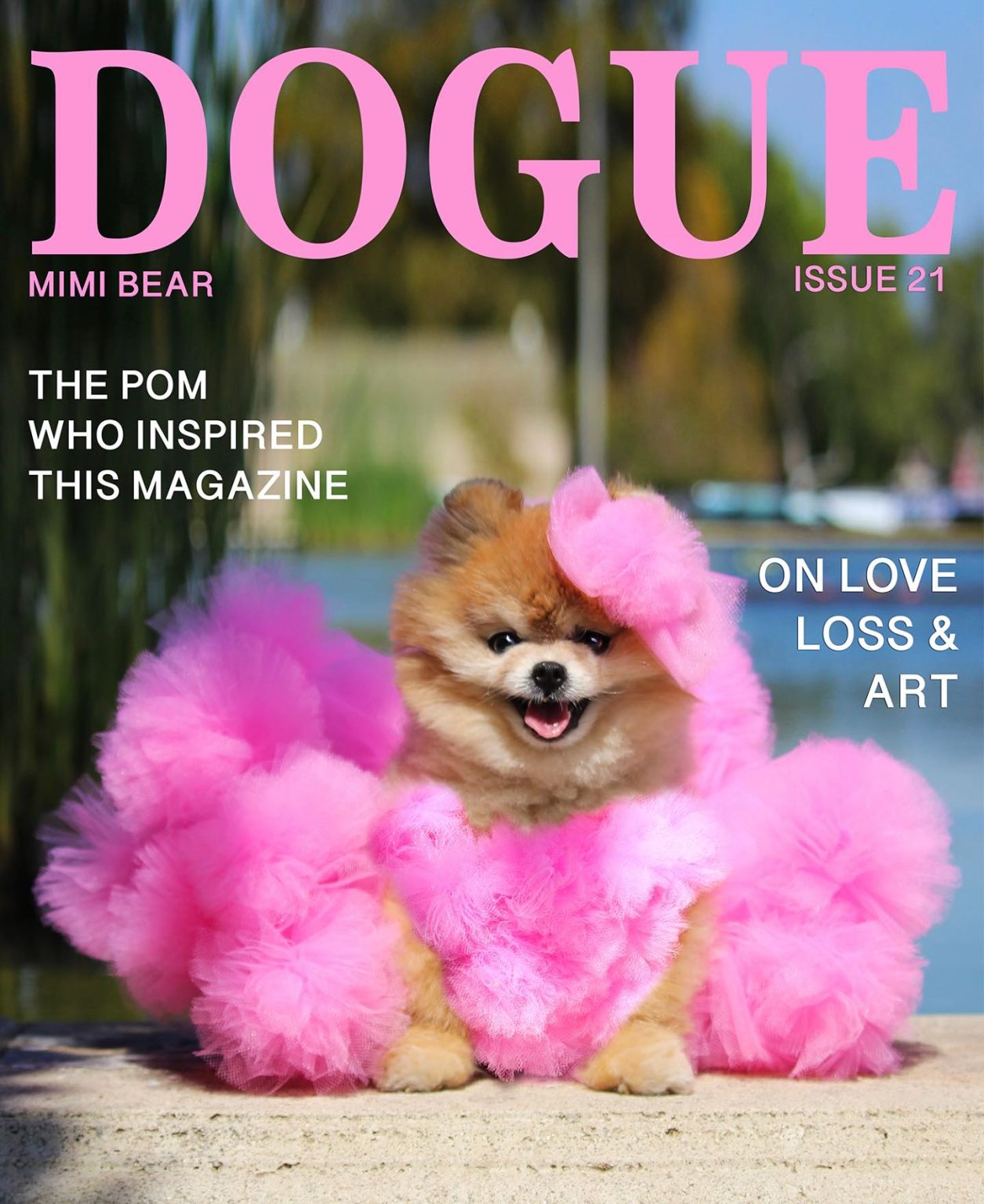 Sur Instagram, le compte Dogue parodie le magazine de mode Vogue ...