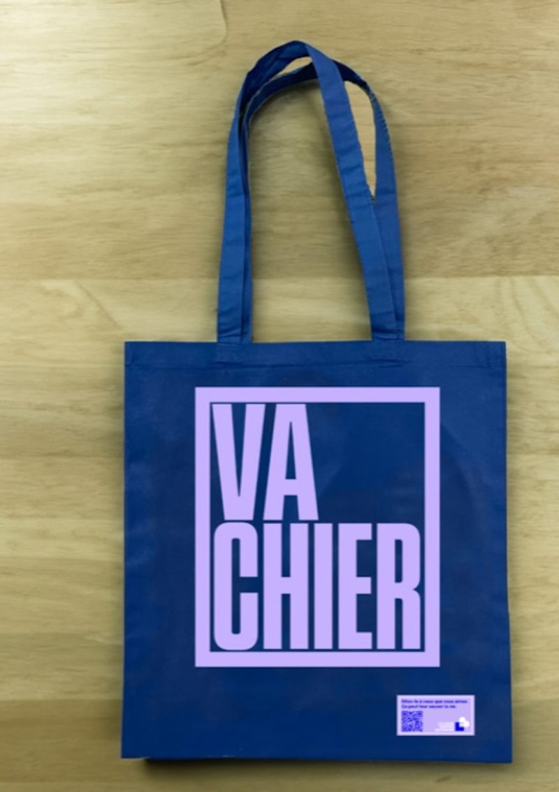 "Va Chier" : la campagne choc qui interpelle sur le cancer colorectal ...