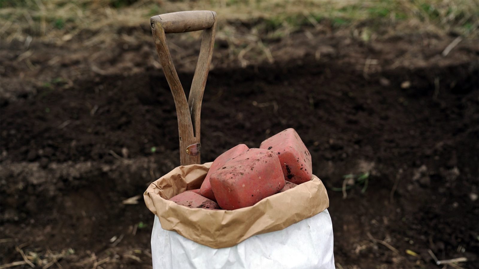 Les meilleurs poissons d’avril des marques pour le 1er avril 2025