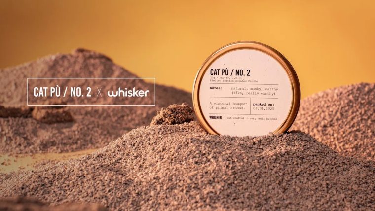 Les meilleurs poissons d’avril des marques pour le 1er avril 2025