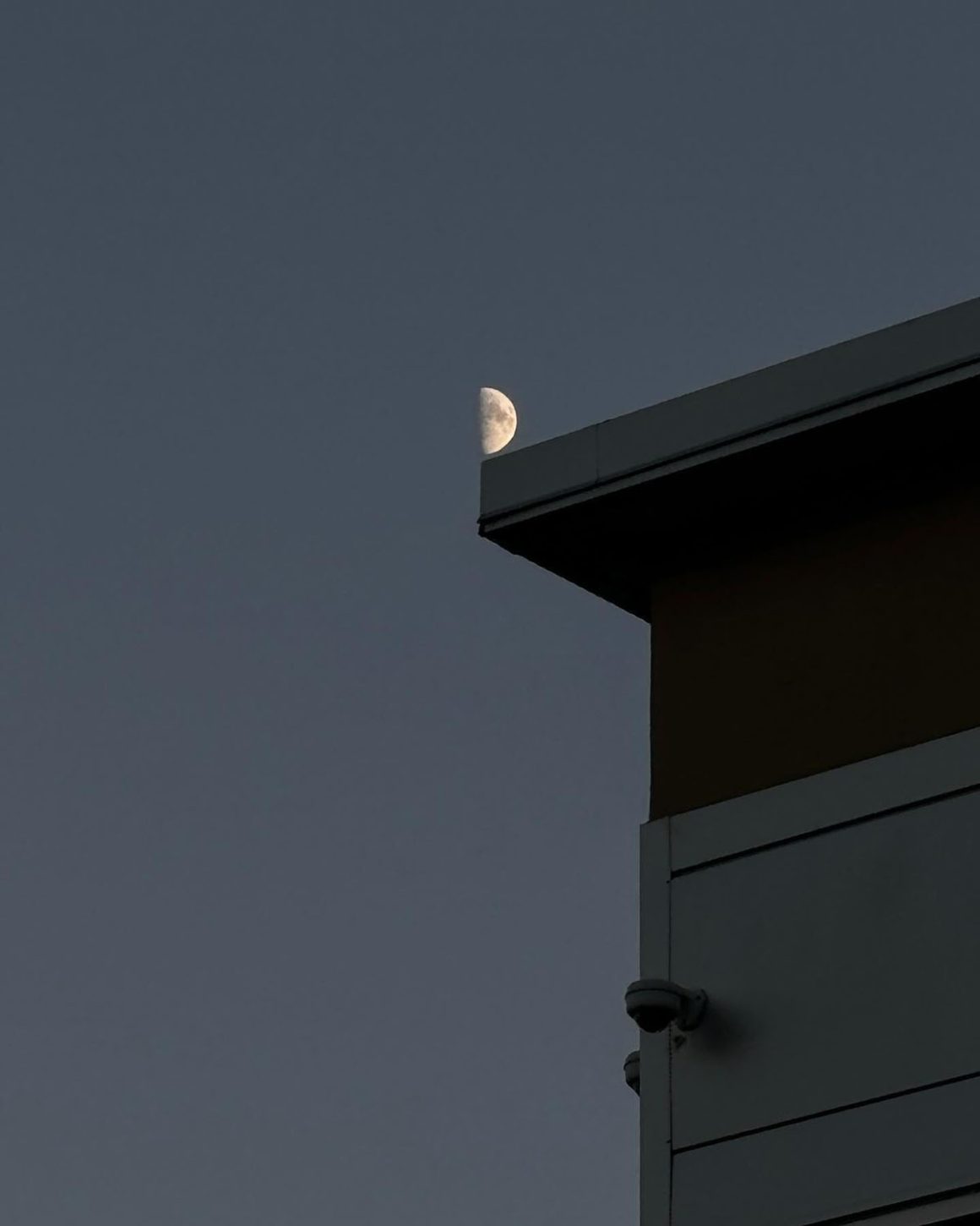 30 hasards insolites du quotidien capturés par le photographe Eric ...