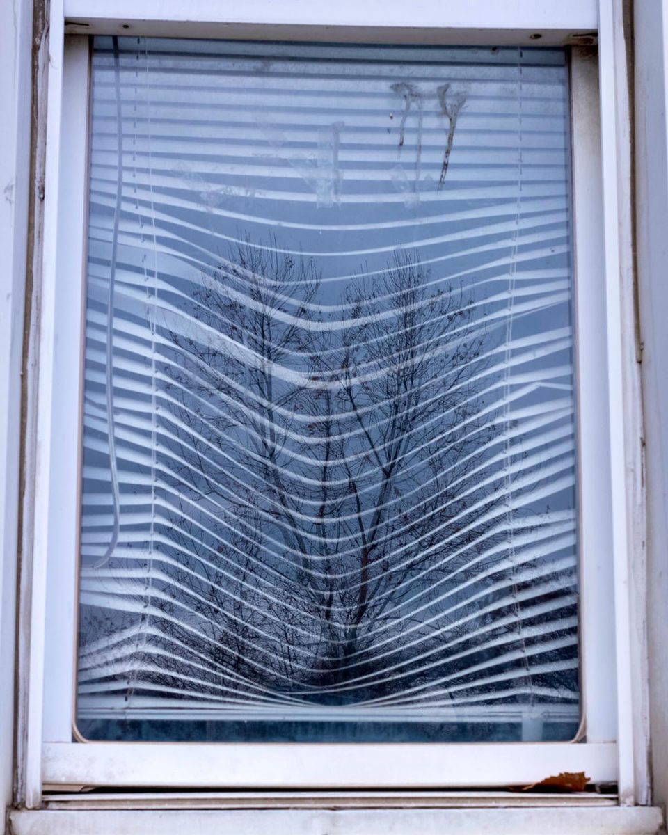 30 hasards insolites du quotidien capturés par le photographe Eric ...