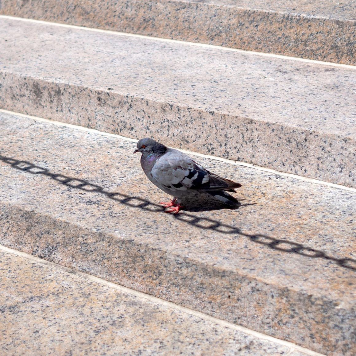 30 hasards insolites du quotidien capturés par le photographe Eric ...