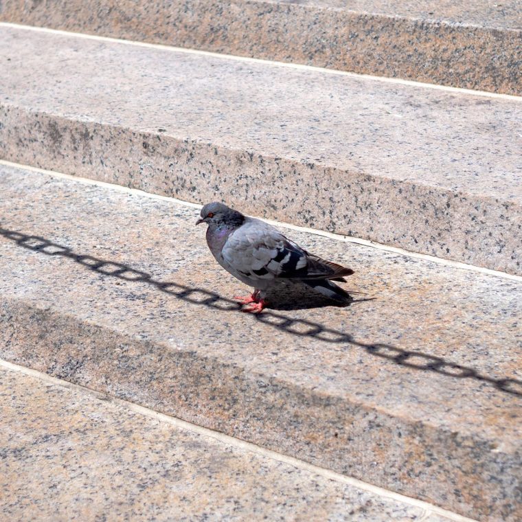 30 hasards insolites du quotidien capturés par le photographe Eric ...