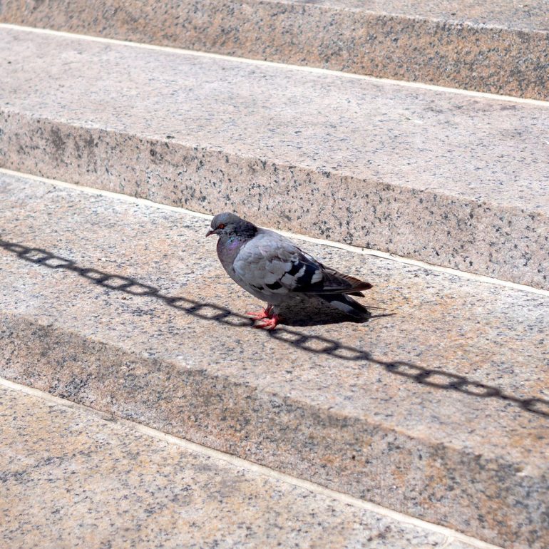 30 hasards insolites du quotidien capturés par le photographe Eric ...