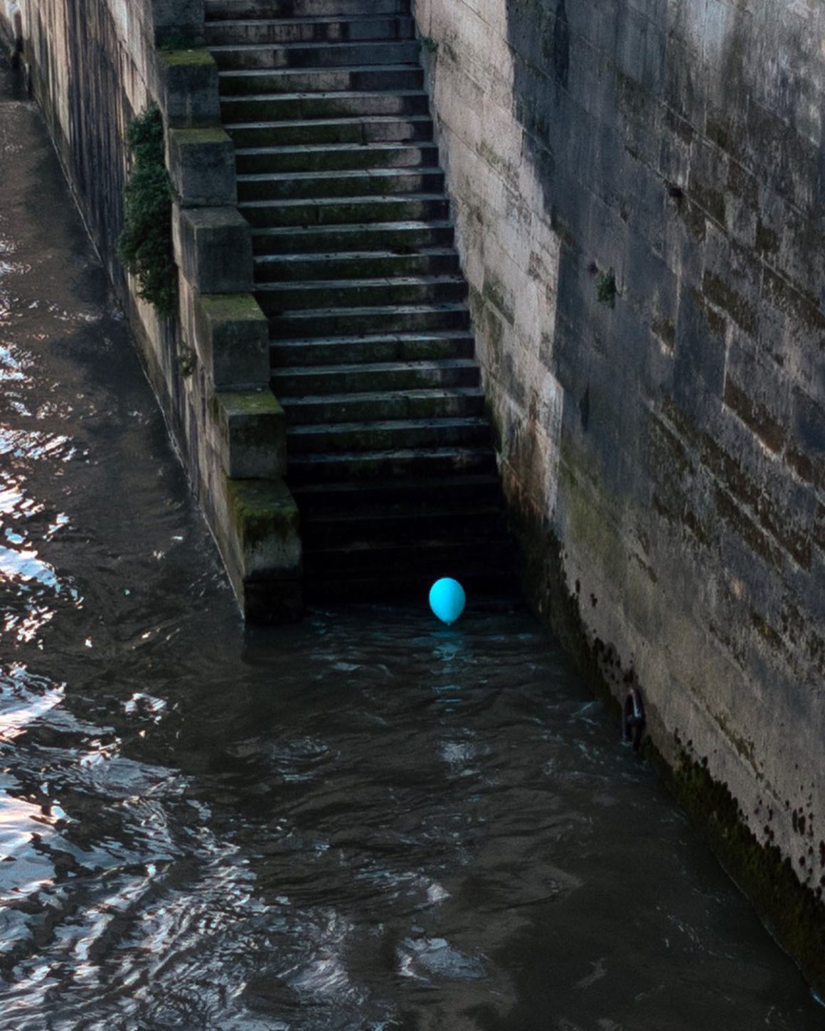 30 hasards insolites du quotidien capturés par le photographe Eric ...