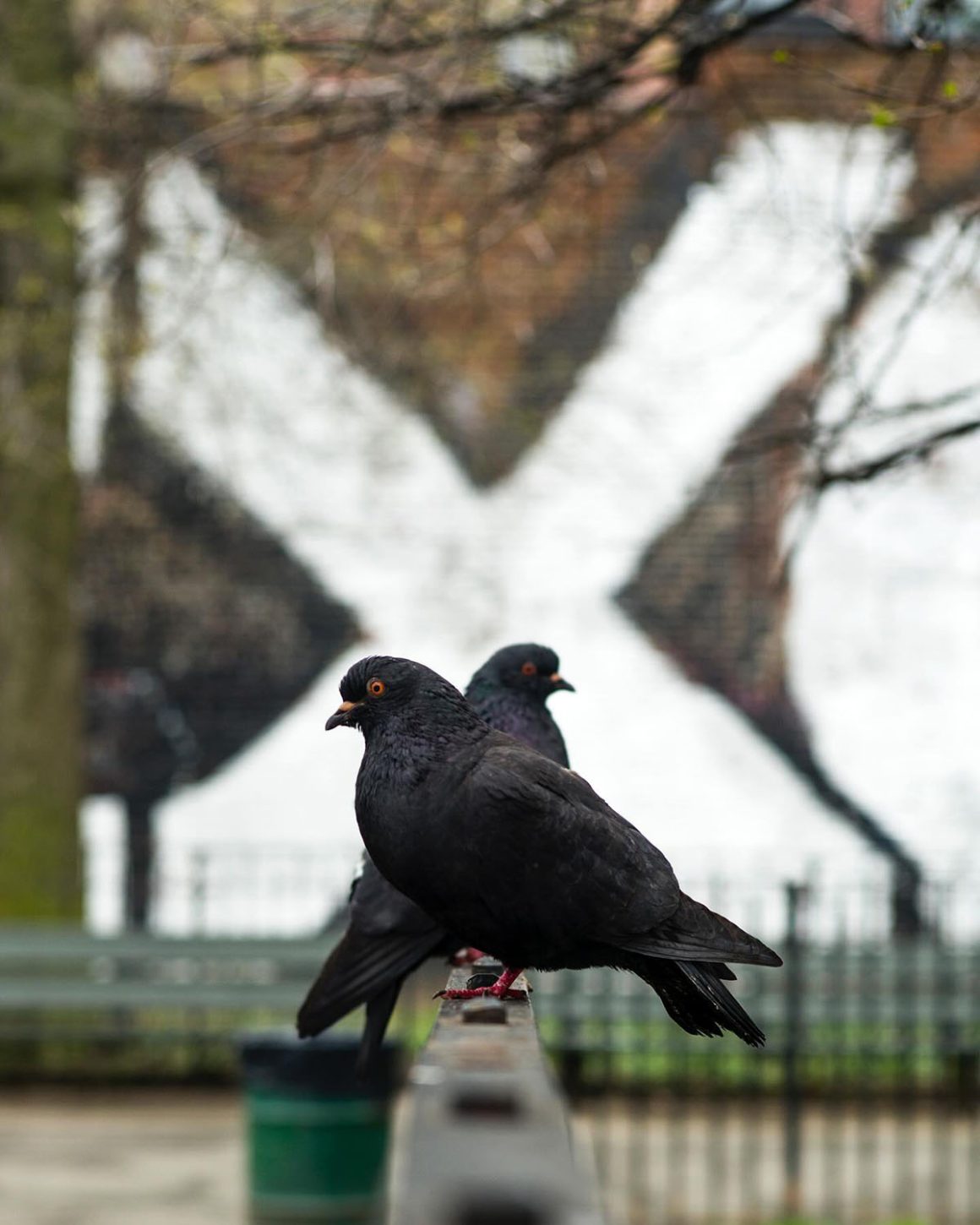 30 hasards insolites du quotidien capturés par le photographe Eric ...