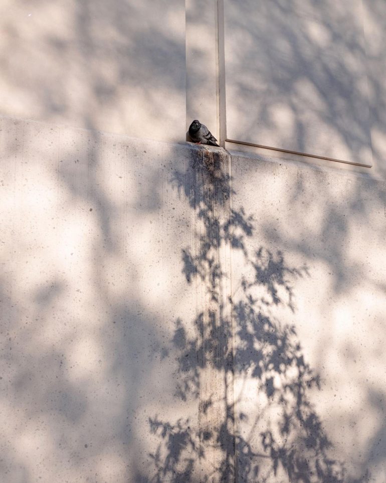 30 hasards insolites du quotidien capturés par le photographe Eric ...