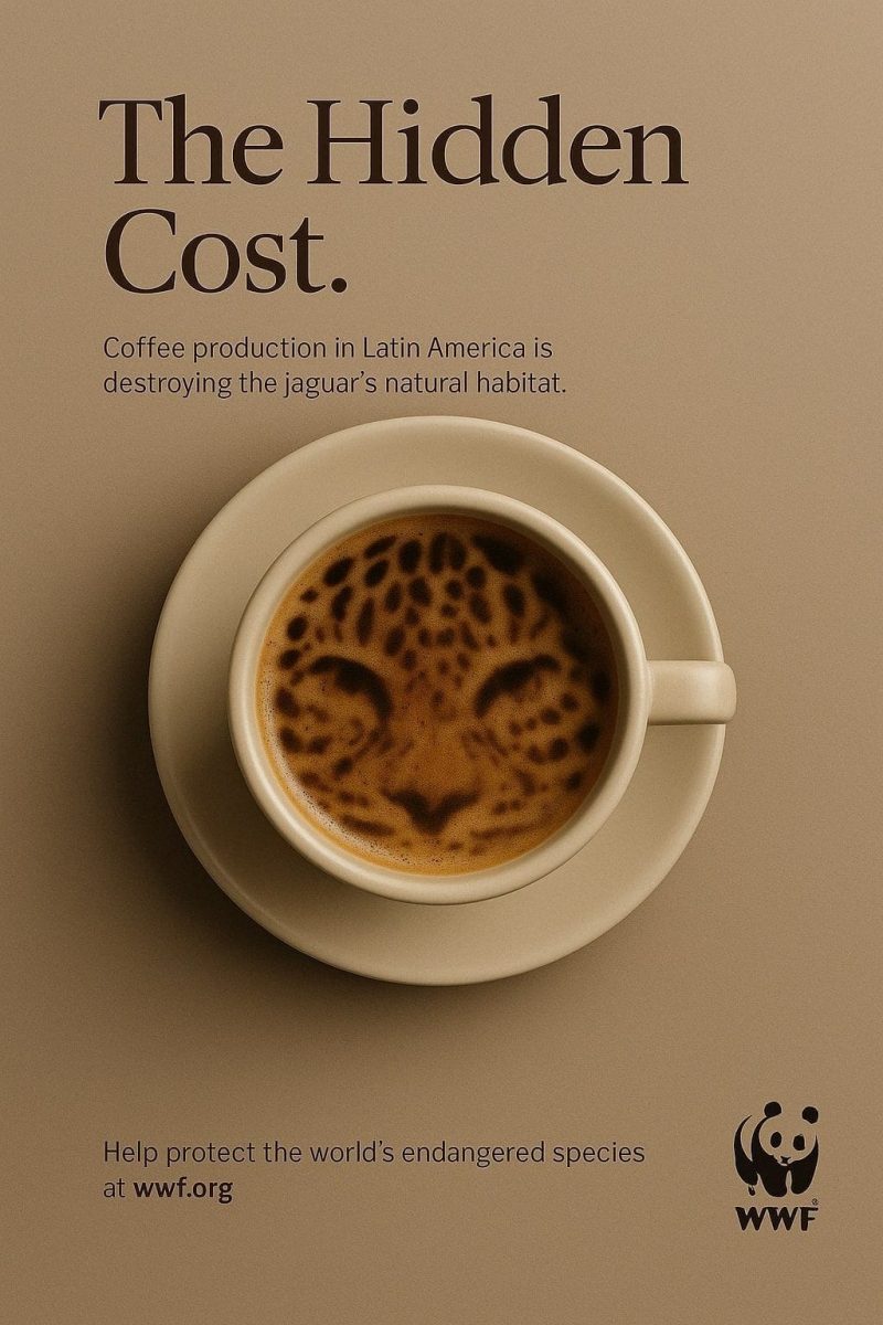 Cette campagne WWF révèle l’impact caché de nos produits du quotidien