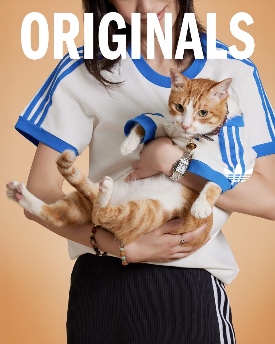 Adidas lance une collection pour assortir votre look à celui de votre ...