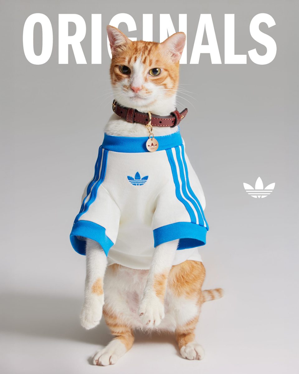 Adidas lance une collection pour assortir votre look à celui de votre ...