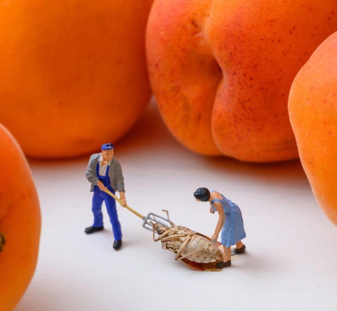 Cet artiste transforme des objets du quotidien en mondes miniatures ...